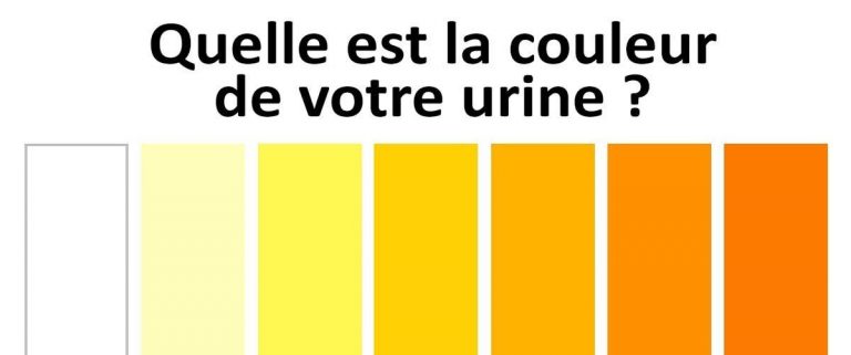 La couleur de votre urine indique votre état de santé, qu’il soit bon ...