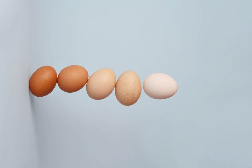 Quelle est la différence entre les oeufs bruns et les oeufs blancs ...